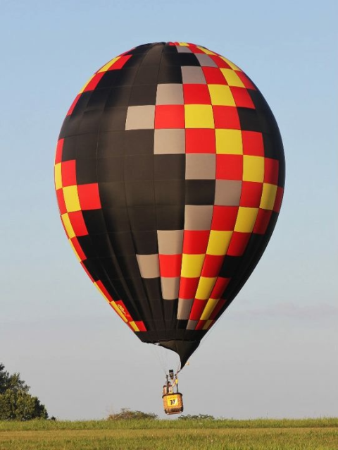 Balloons - Flag City BalloonFest